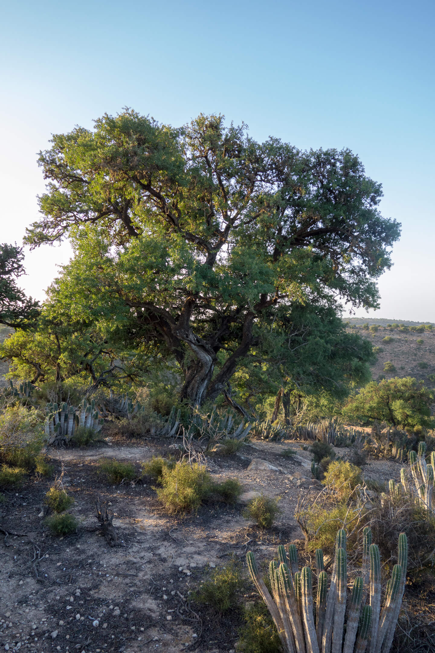 Hike to the hot source M’Hand in the hinterland of Agadir / Aourir