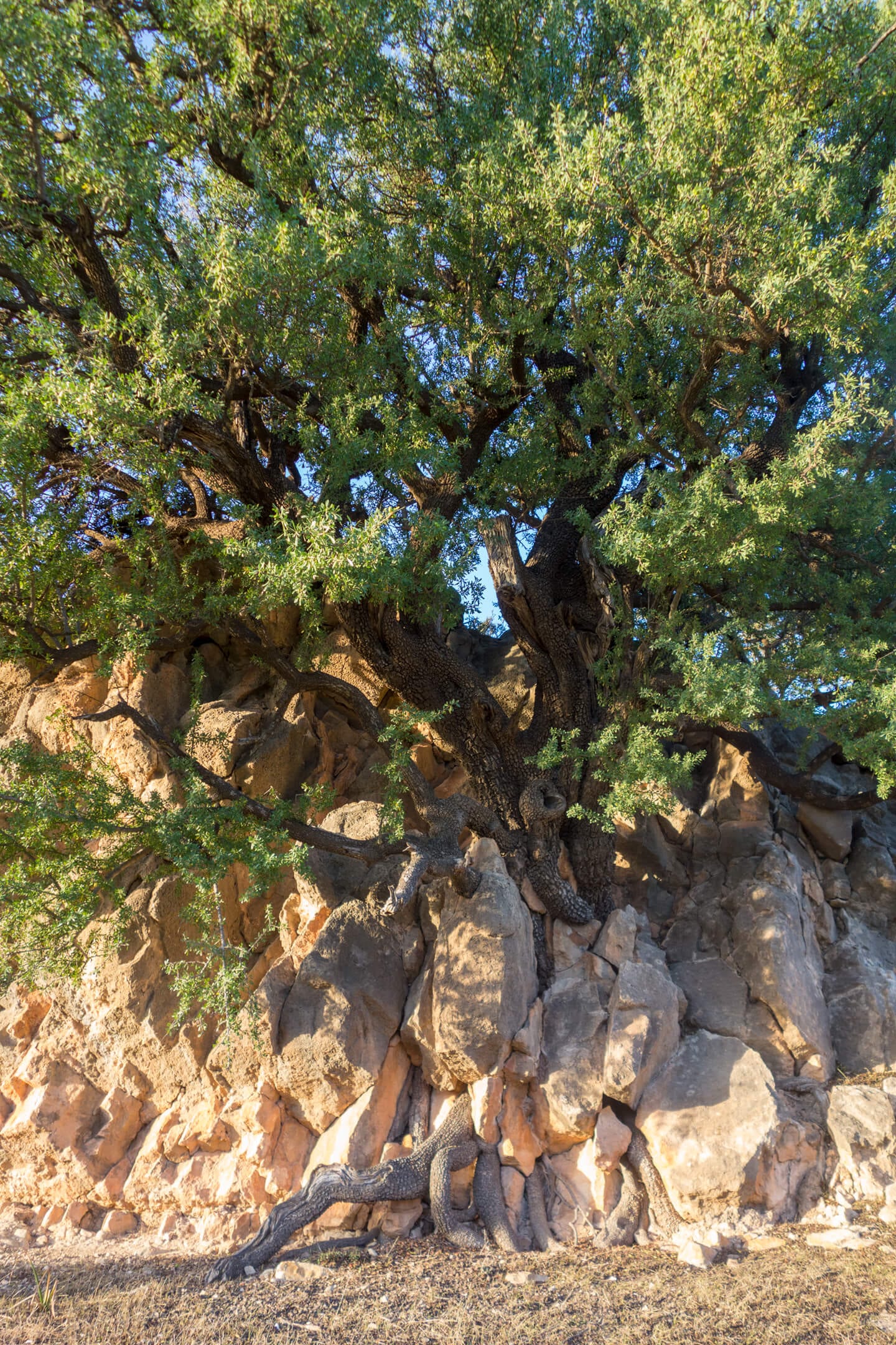 Hike to the hot source M’Hand in the hinterland of Agadir / Aourir